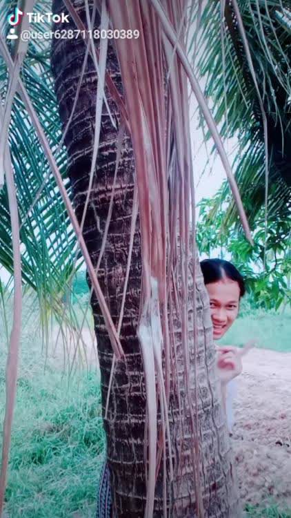 single dl ngab😂 - TNAOT