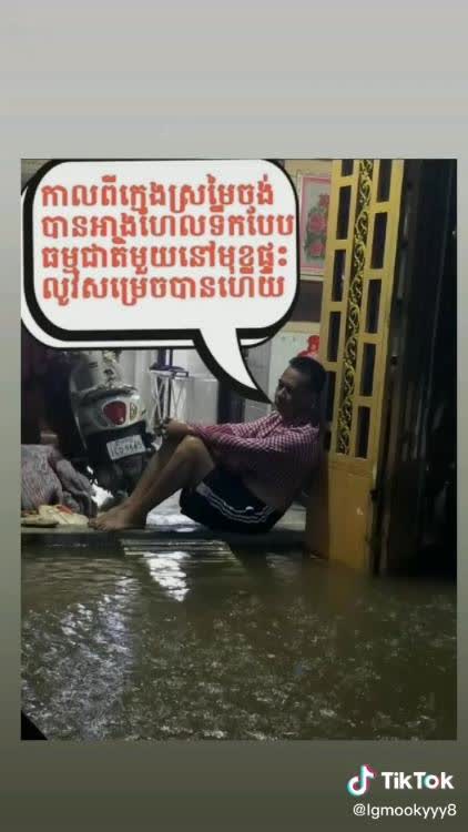 my dreams 🤧🤣 - TNAOT