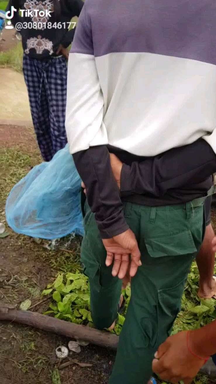 fishs💖💖 - TNAOT