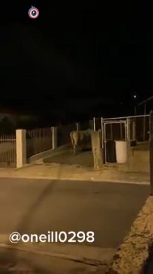 ចង់ដាច់ចង្កេះហ្ហើយមកលេងអីចឹងៗ - TNAOT