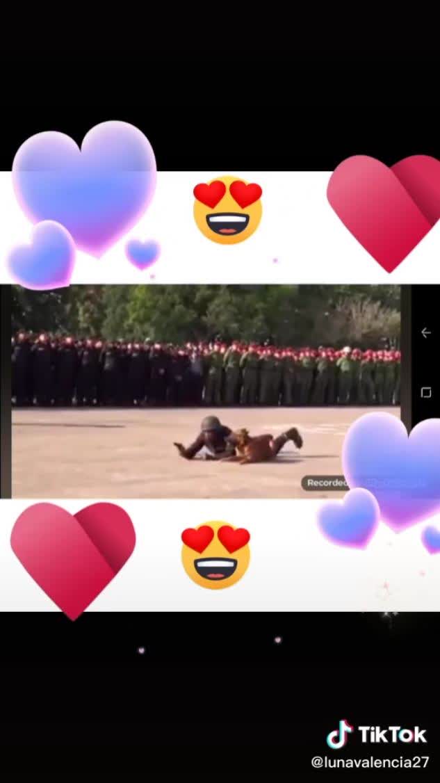 som like one - TNAOT