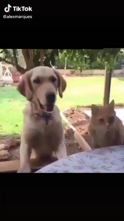 Oh no!!!😂 - TNAOT