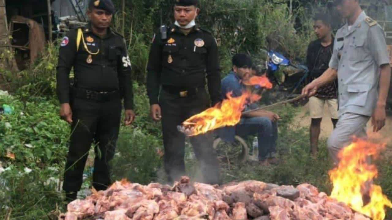 ដុតកម្ទេចចោលសាច់មាន់ចម្រុះខូចគុណភាពប្រមាណជាង ៣៥០គីទ្បូក្រាមចាប់ឈ្មួញលួចនាំពីប្រទេសថៃ - TNAOT