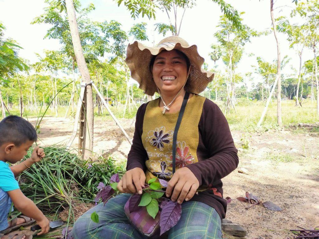 ប្រាសាទអង្គរវត្តបានប្រែមុខមាត់ជាខ្លាំង លម្អដោយផ្កាសួនស្មៅពណ៌បៃតង - TNAOT