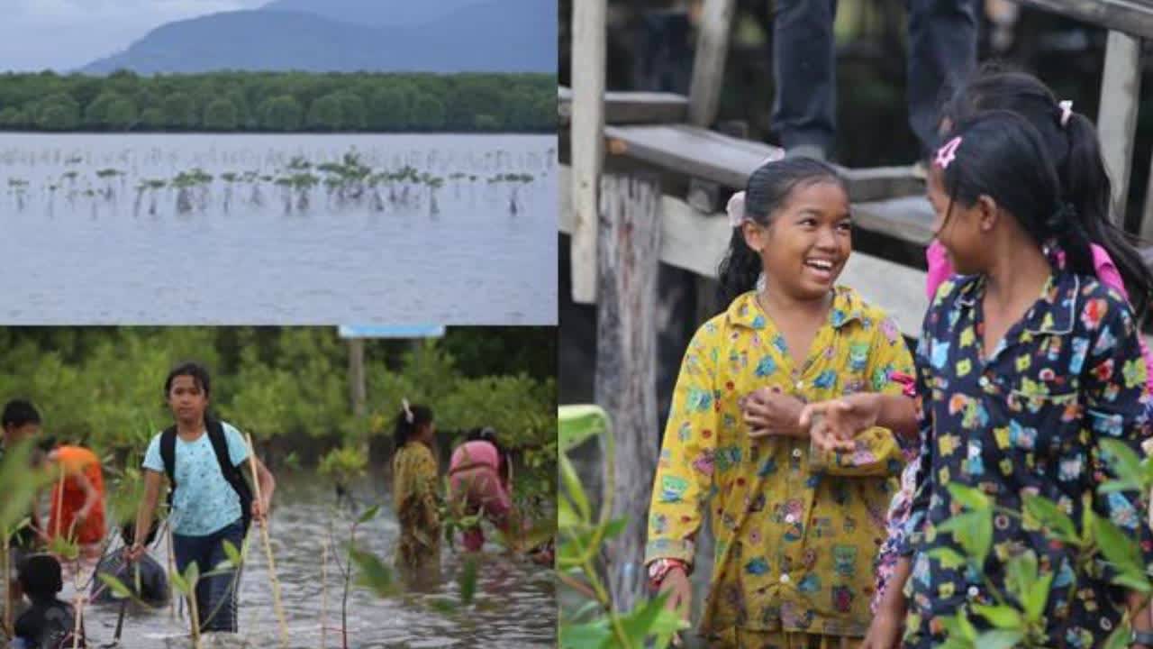 សហគមន៍នេសាទចំនួន៨ បានបណ្តុះ និងដាំកូនកោងកាងបានជាង១សែនដើមលើសការរំពឹងទុក - TNAOT