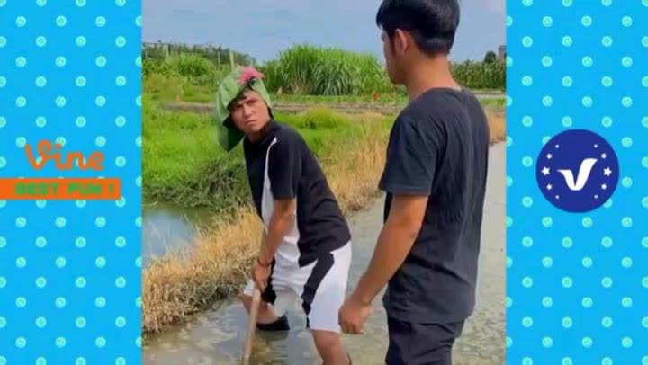 New funny videos 2020 - TNAOT