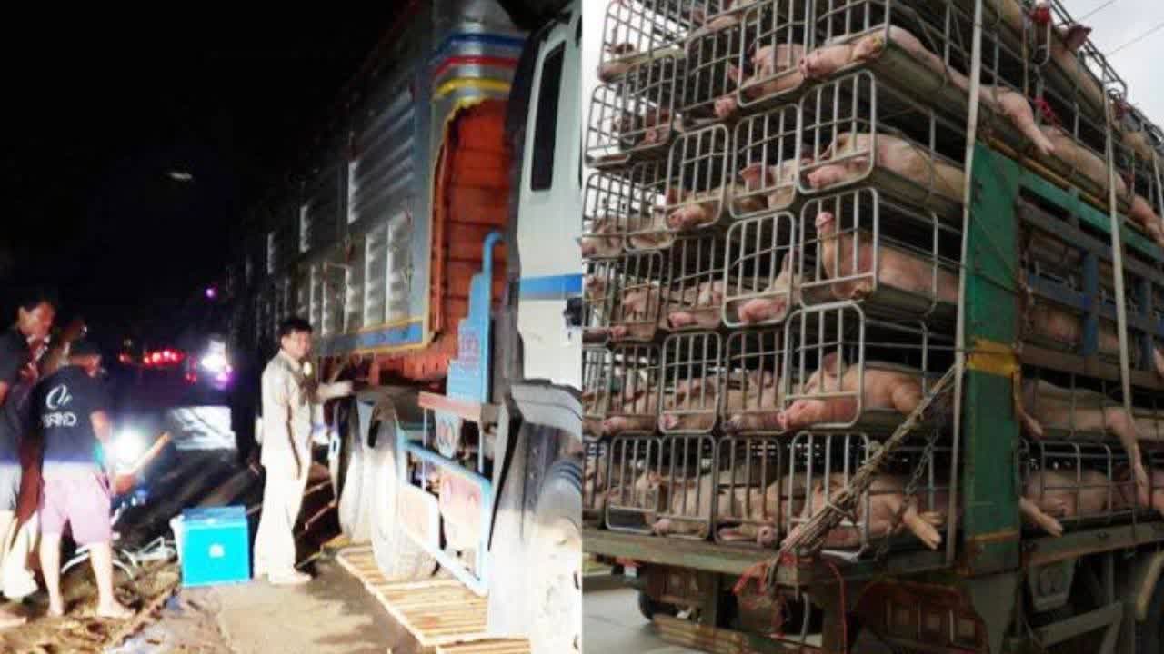 ដឹកលើសទម្ងន់ចាប់ពីពេលនេះនឹងត្រូវដកហូតប័ណ្ណបើកបរ និងព្យួរទុកយានយន្ត - TNAOT