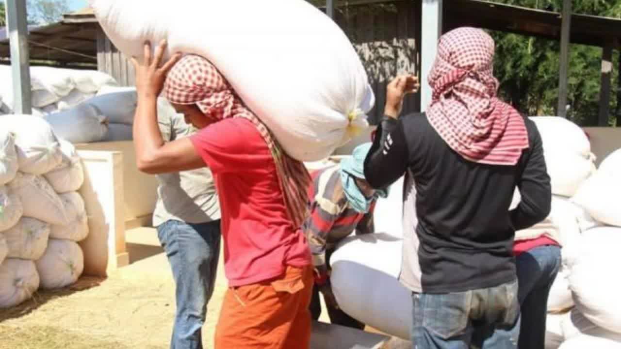 សហព័ន្ធ ស្រូវ អង្ករ កម្ពុជា ខកចិត្ត ចំពោះ ទង្វើ ជន អគតិ នៅ អូស្ត្រាលី ដែល យក ផលិតផល អង្ករ ទៅ ...