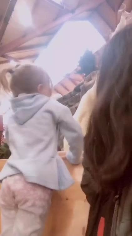 mommy the bear look like you 😂 - TNAOT