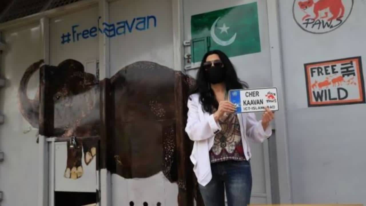 ស្វាគមន៍ Kaavan ដំរីដ៏ឯកោបំផុតលើលោក បានមកដល់សៀមរាបហើយ! - TNAOT