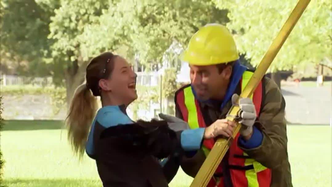 Laughing Vol 8 - TNAOT