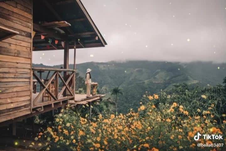 Dg tha min ach mx kr khom mes 😢🙃 - TNAOT