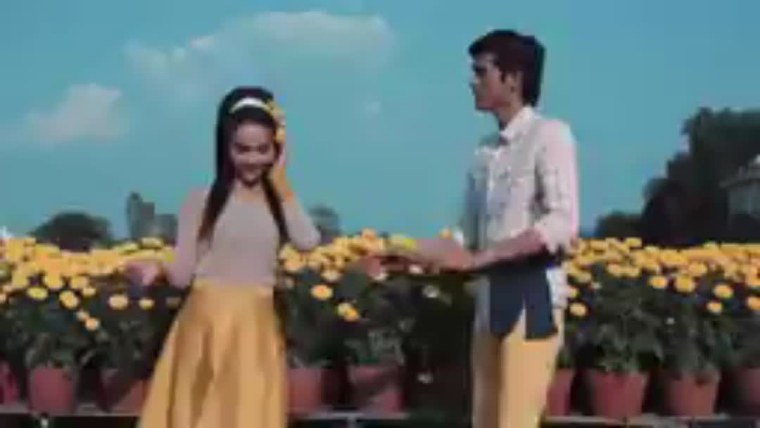 ម៉ៅអើយស្រីម៉ៅ - TNAOT